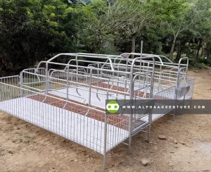 Buy Pig Farrowing Pen for Sale